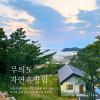 국립 무의도자연휴양림 예약 연립동 꿀팁 준비물 성수기 후기 네이버 블로그